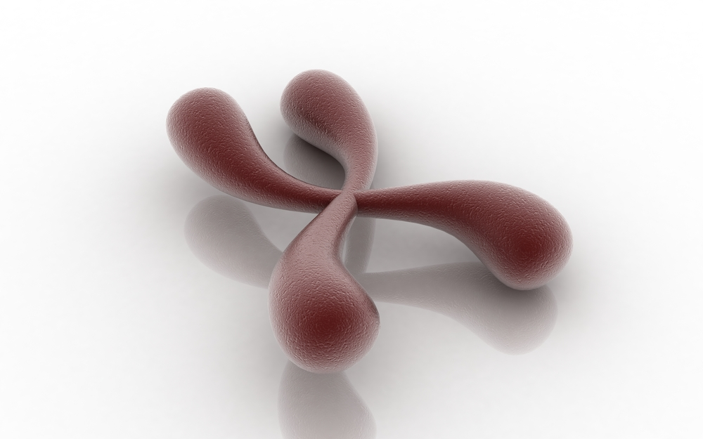 People with both fragile x syndrome and autism had unique profile of ...
