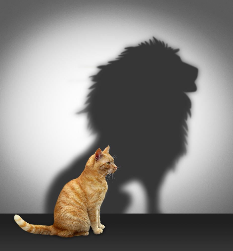 An integrated leadership approach needed to improve care