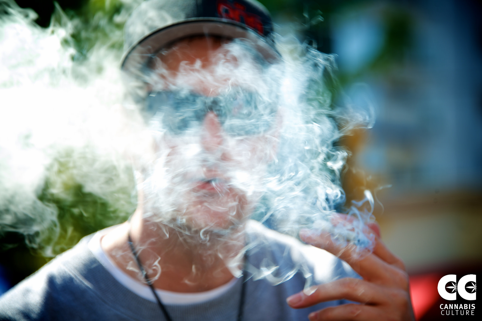 Cannabis: what do we know and what do we need to know?