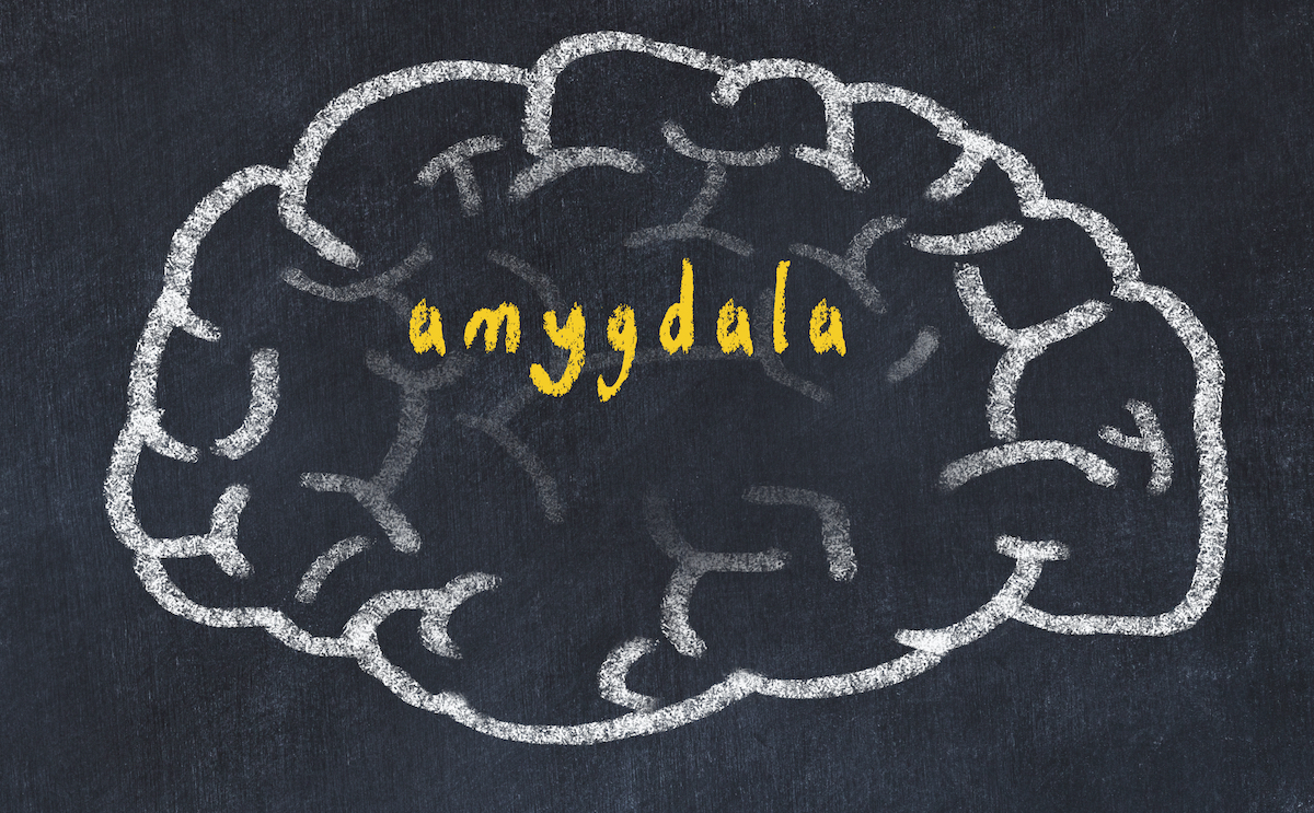 Can brain scans help reduce the shame of adolescent self-harm?