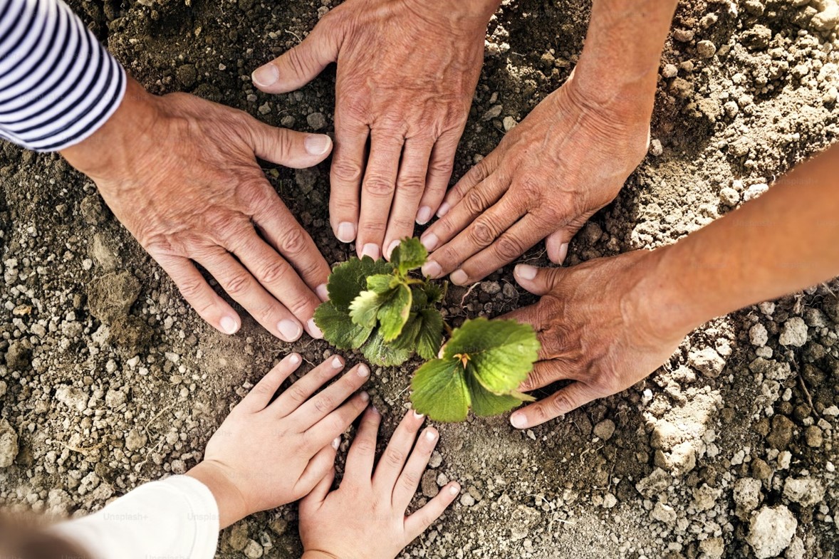 How Social Determinants of Mental Health Increase Depression Risk